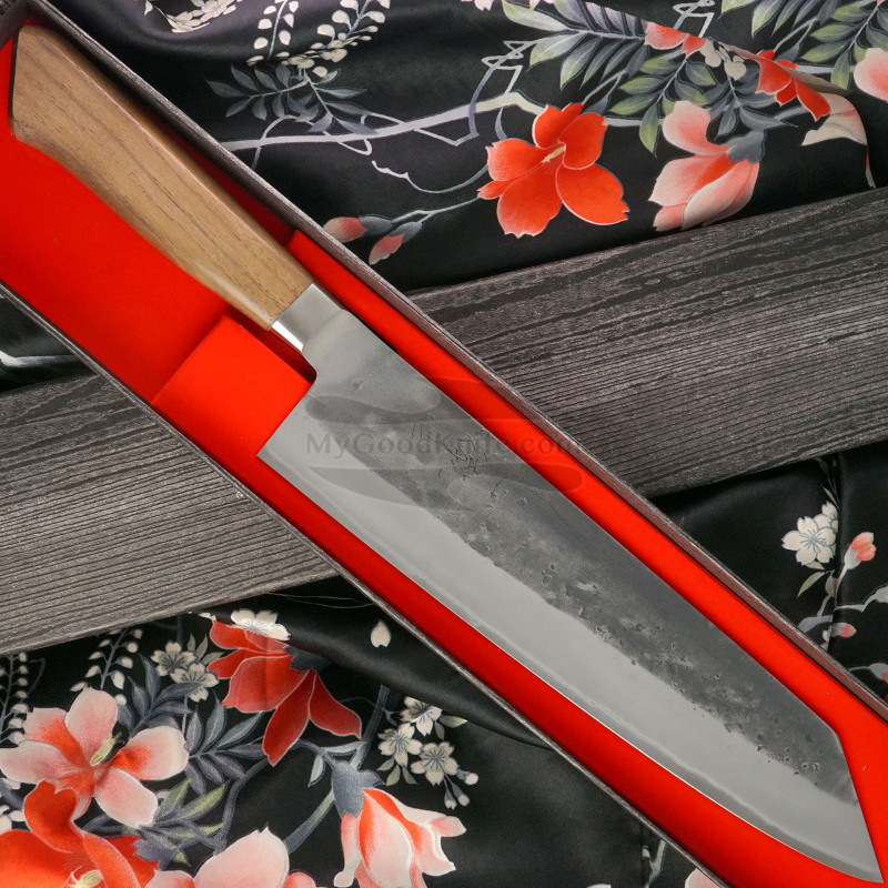 Gyuto Japanisches Messer Ittetsu Aogami 2 S/S Clad ISN-15 24cm online ...